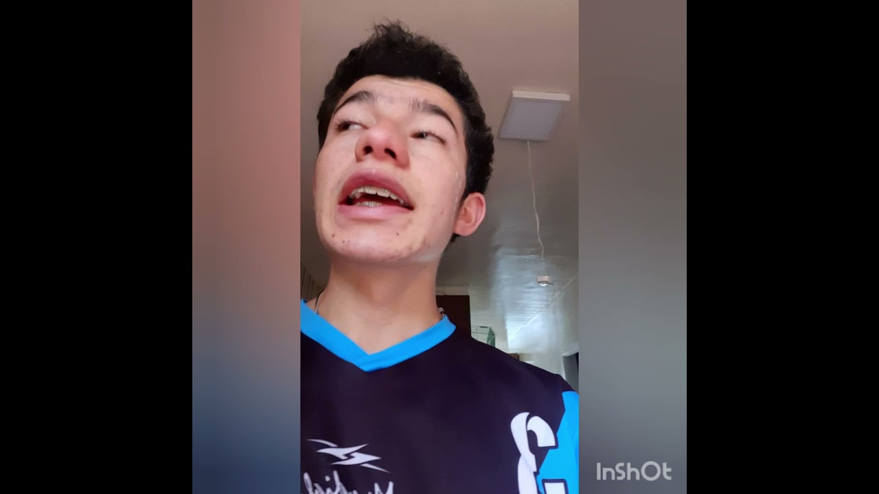 ¿Que es la Constitucion ?  lasalle ferdinand.