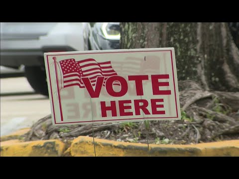 Voters out in force at early voting site across South Florida