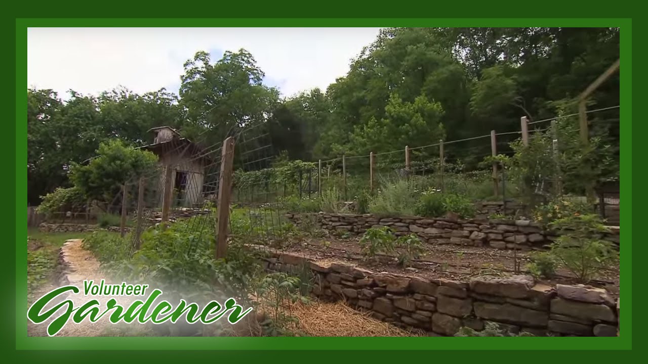 Terraced Vegetable Garden | Volunteer Gardener