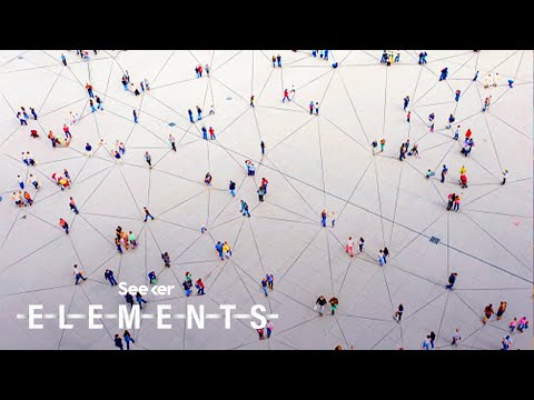What Exactly is Contact Tracing?