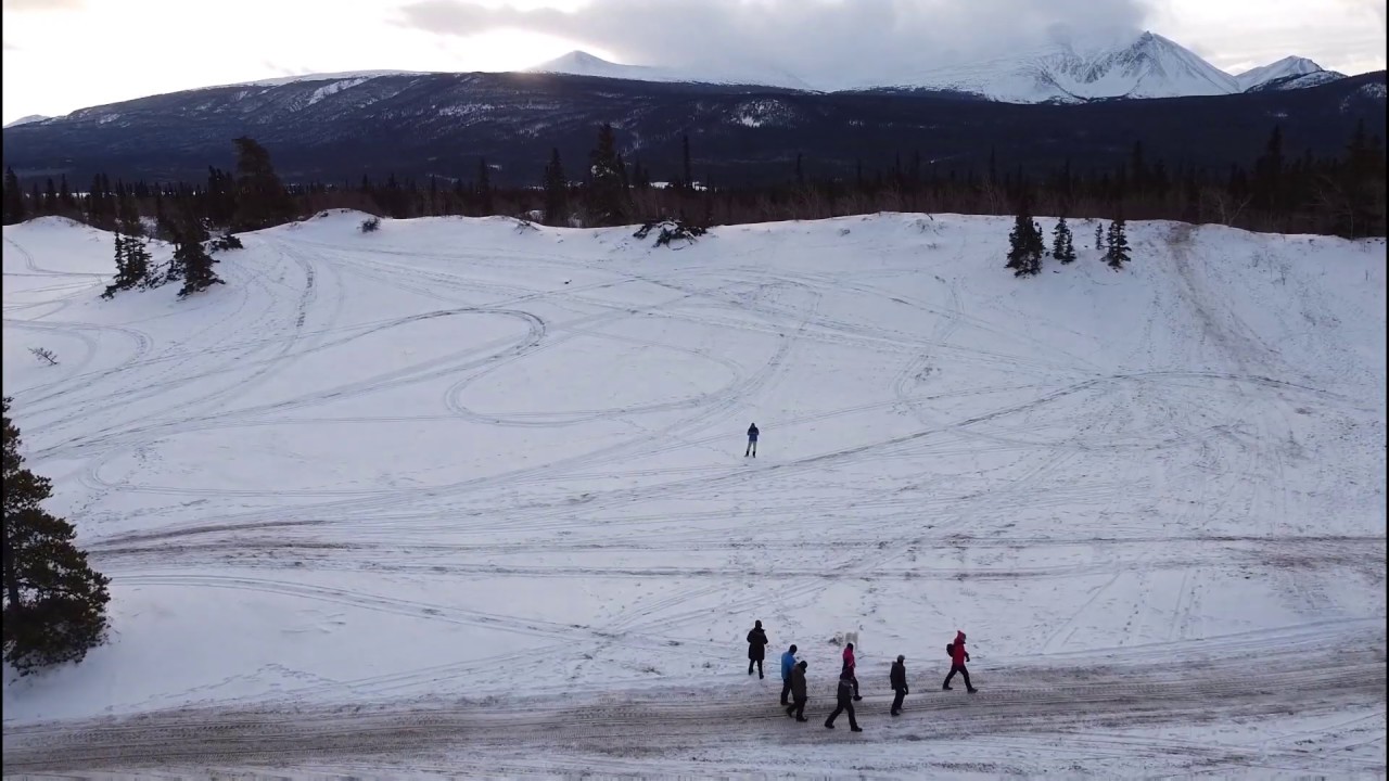 Carcross Desert in winter