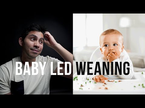 What is Baby Led Weaning? – BLW vs Purées Explained