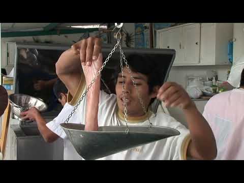 Peru Part 4: Where Ceviche was Born