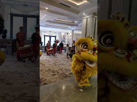 Lunar New Year celebration, Vietnam. #vietnam #vietnamese #tet