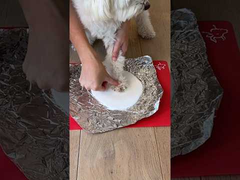 Making a statue of my dogโs paw!! Help me pick a dog name!