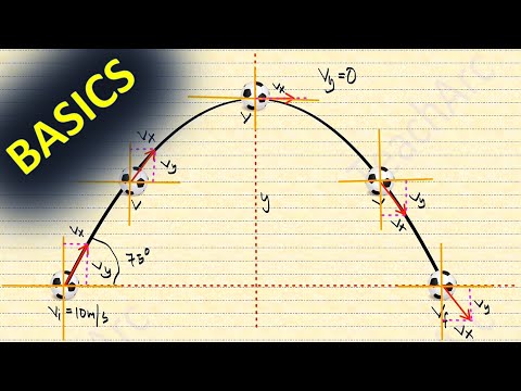 Basics of Projectile Motion-Everything you need to know!