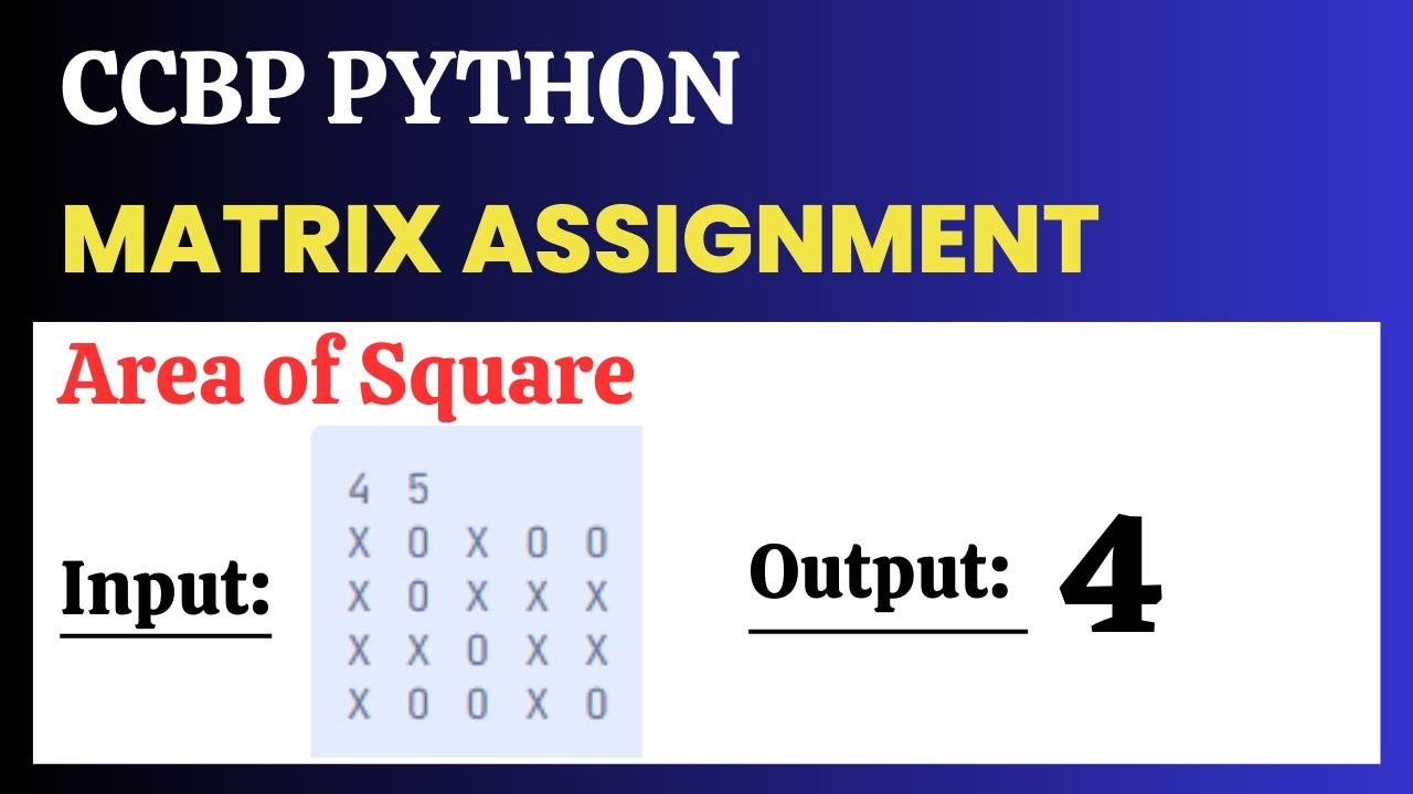 Area of Square | MATRIX ASSIGNMENT | Python | CCBP 4.0