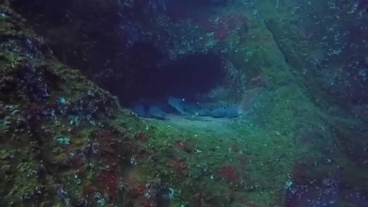 Roca Partida, Islas Revillagigedo