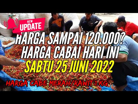 🔴 UPDATE: Harga Cabe/Cabai Rawit/Merah 1 KG Hari Ini, Sabtu 25 Juni 2022