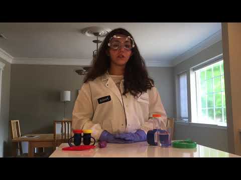Crime Scene Project