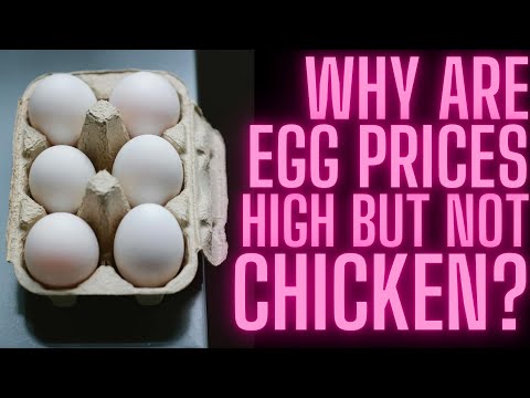 Why Are Egg Prices High But Not Chicken?