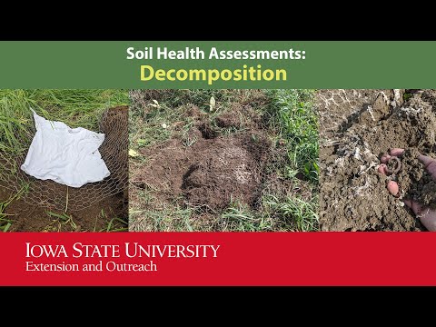 Soil Health Assessment Series: Decomposition