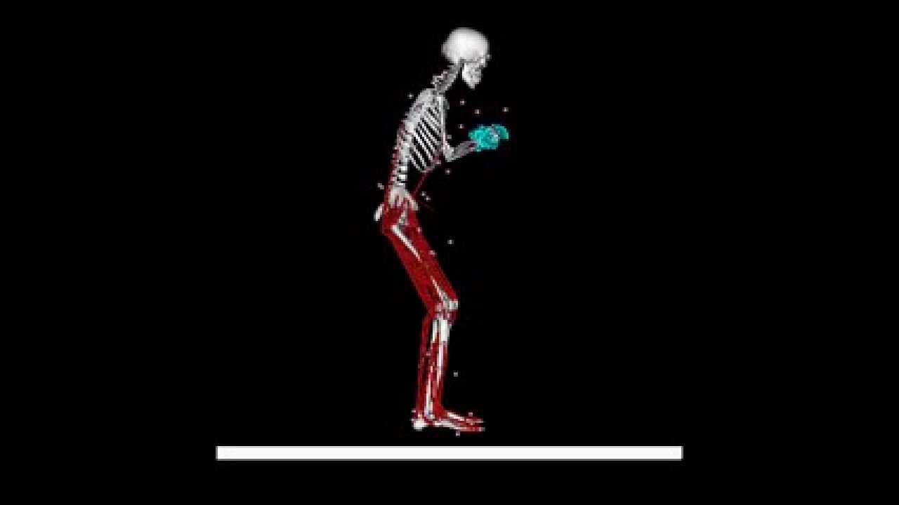 OpenSim 3.1 Simulation of Sit to Stand (STS) Transfer