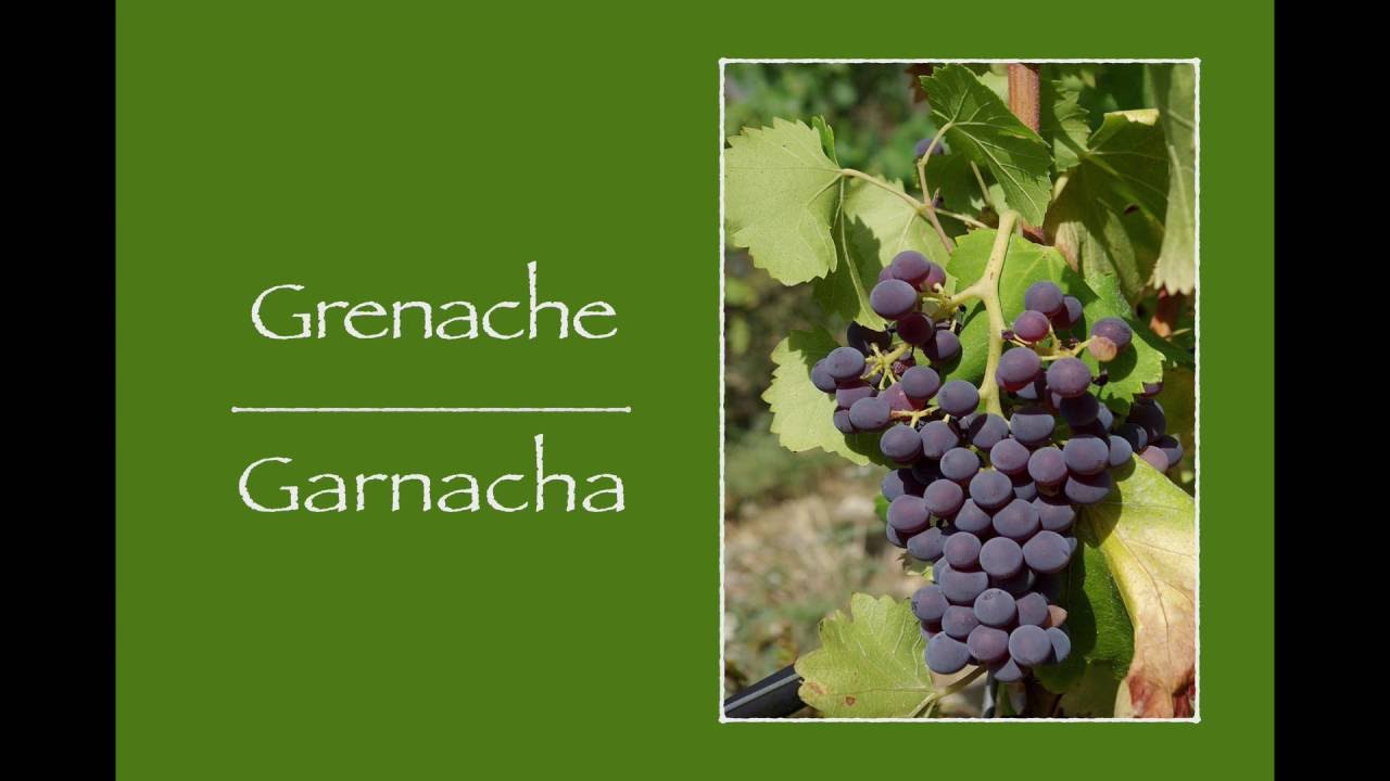Winecast: Grenache