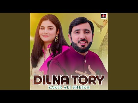 Dil Na Tory