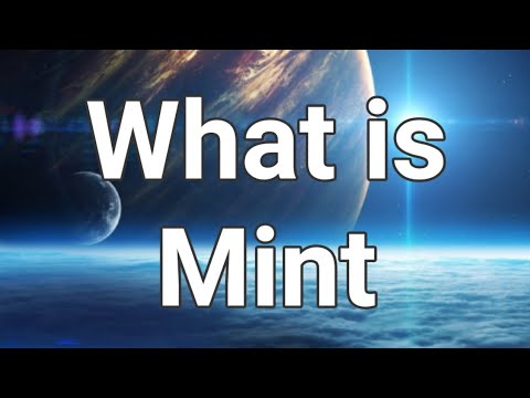 What is Mint. Urdu or English