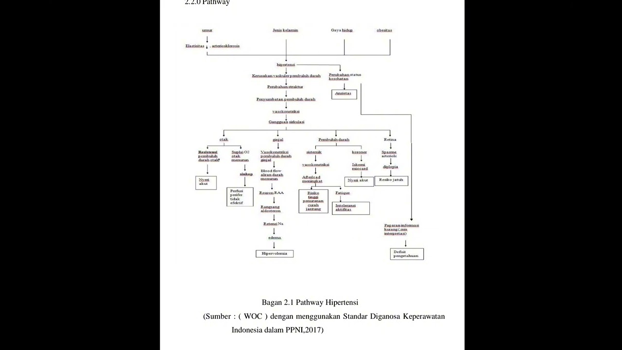 Membaca Pathway hipertensi