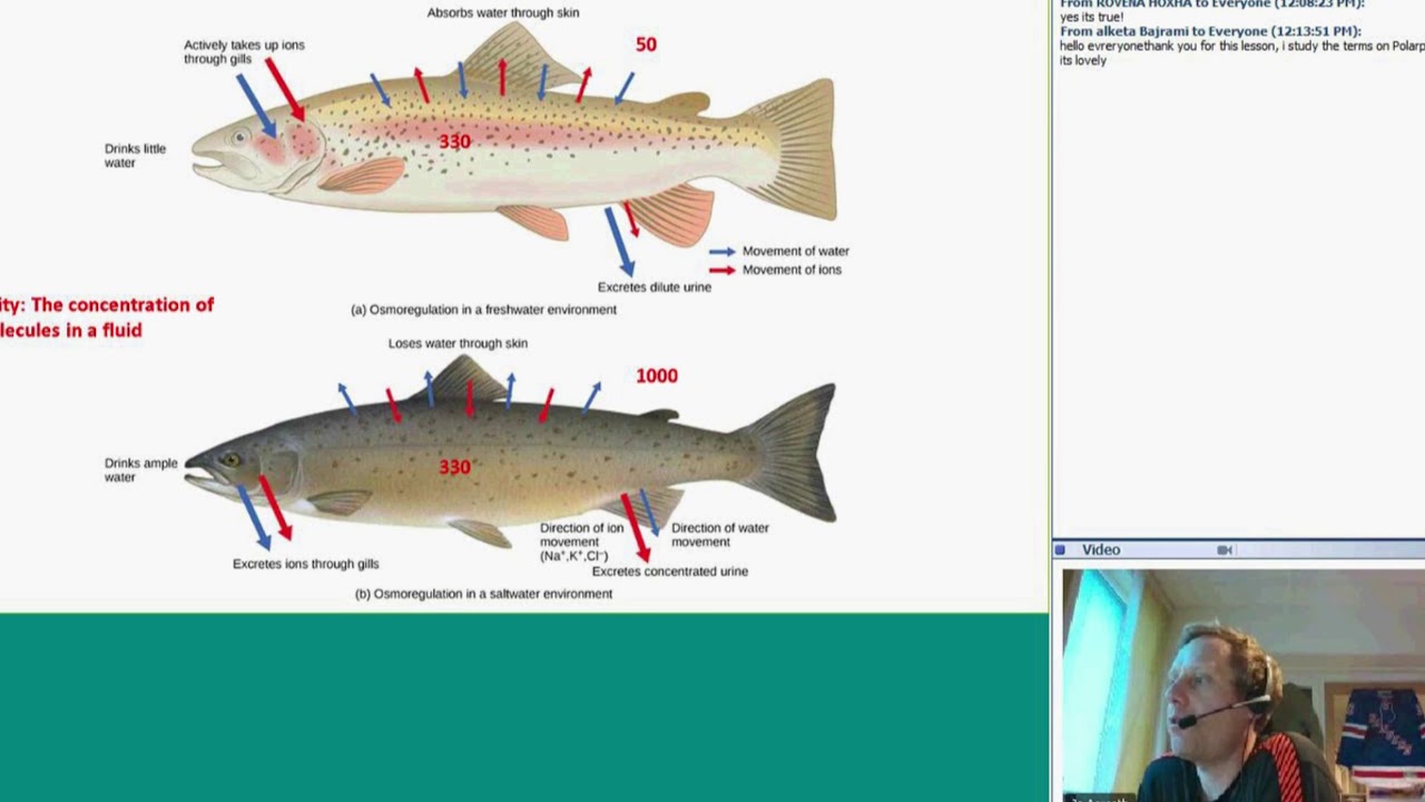 How the Arctic charr cope with everything
