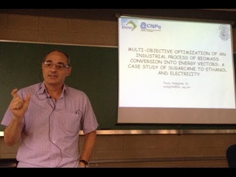 BIOMASS CONVERSION INTO ENERGY VECTORS