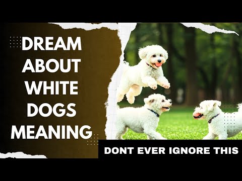 Dream about White Dog Meaning | Spiritual and Biblical White Dogs