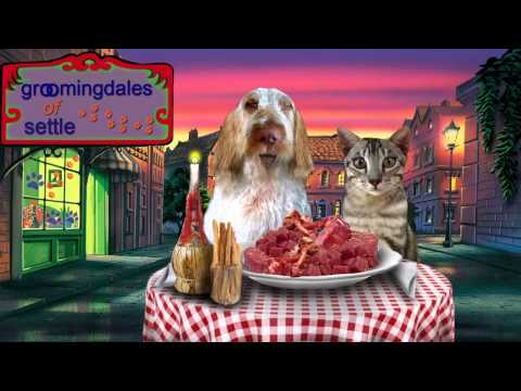 GROOMINGDALES OF SETTLE COMMERCIAL