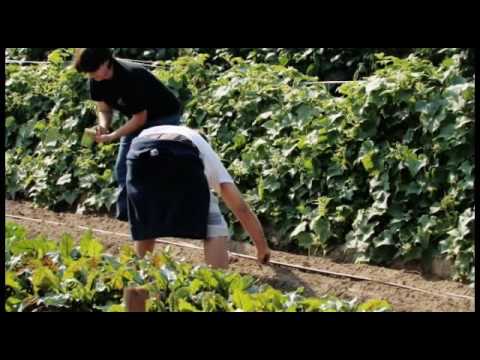 The Vision of Vineyard Boise Part 3 of 4