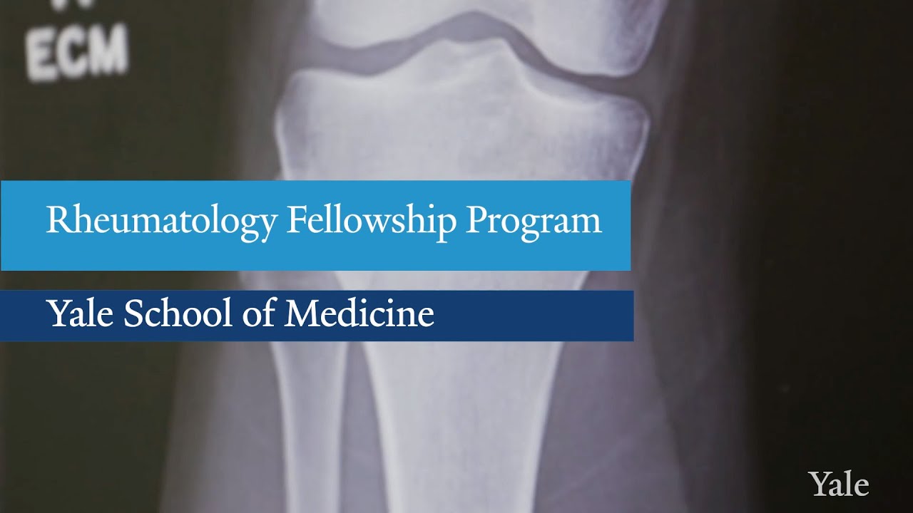 Rheumatology Fellowship Program at Yale School of Medicine