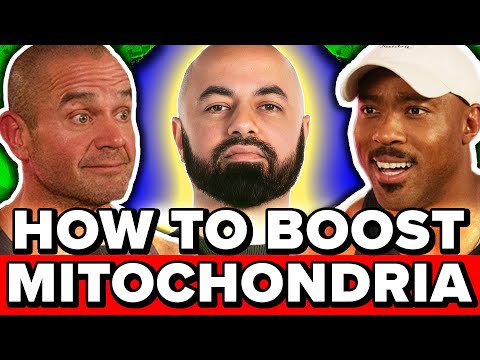 How To Naturally Enhance Your Mitochondria Health