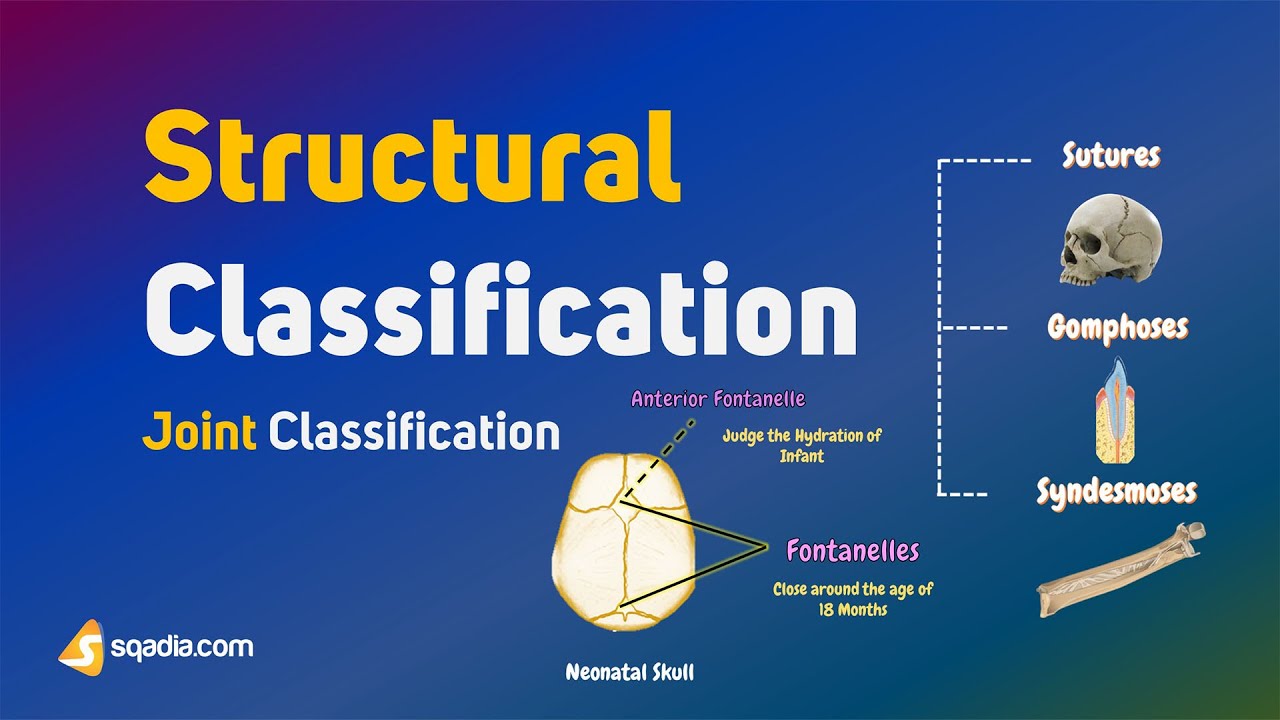 Mastering Joint Classification: Structural Classification