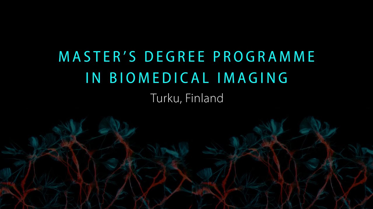 MSc Biomedical Imaging Programme Students Interview