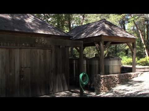 Teachworth : California Wine with Tony