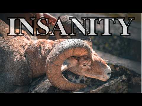 Hunting Bighorn Sheep In America's Most Remote Wilderness -INSANITY-