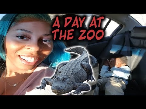 Fun Day at Zoo: Jackson, MS/ My Son Loves Learning