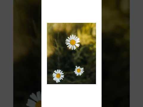 Which shot was your favourite? Also.. what do you think of the wallpapers I snuck in?