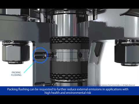 F12 Triple Offset Valves   Series 30000   Packing Flushing Option