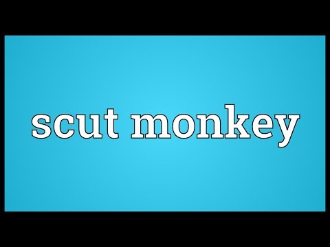 Scut monkey Meaning