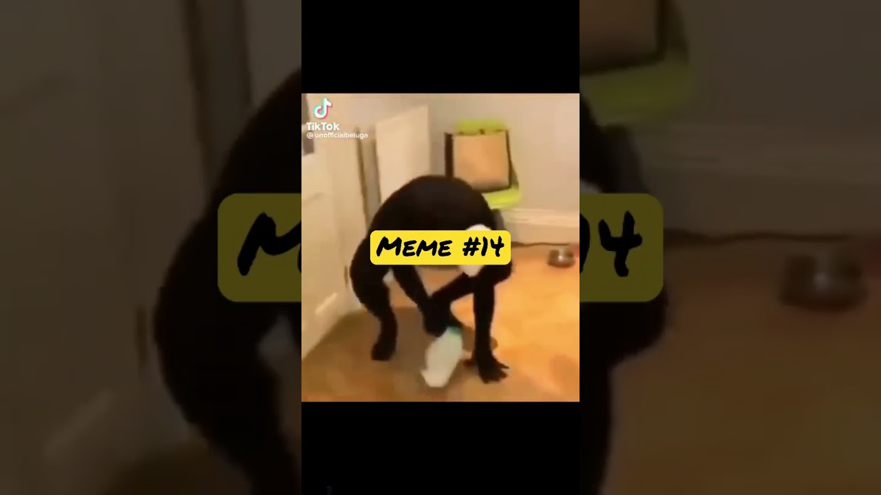 Random meme #14 #memes