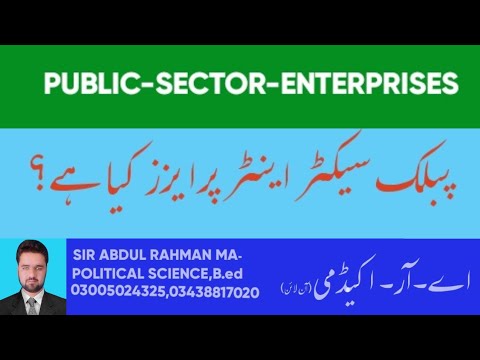 What Is Public Sector Enterprise || Define Public Sector Enterprise || Descriptive Test IIR FPSC