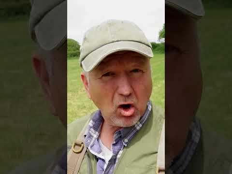 Buying your first metal detector the biggest beginners mistake