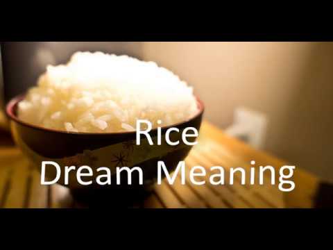 Rice Dream Dictionary