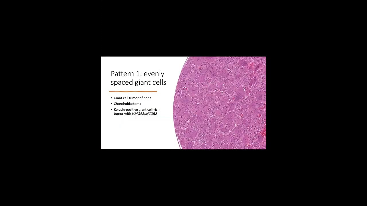 Pathoradiological corr cases (soft tissue, bone)  - Surgical Pathology and Cytology