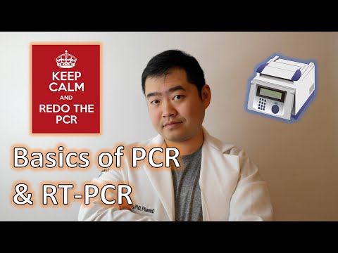 Dr. Hong's Biotechnology: Basics of PCR & RT-PCR