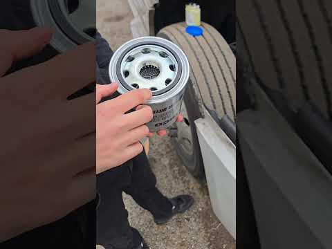 air dryer filter replacement freightliner cascadia 2022