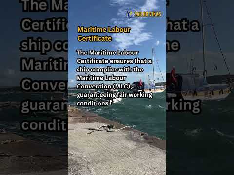 Maritime Labour Certificate: The Key to Safe Seafarers' Rights! ๐ #ShippingSecrets