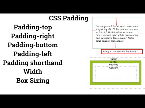 8 css pading | padding in css | padding -top | padding -bottom | padding -right | padding-left