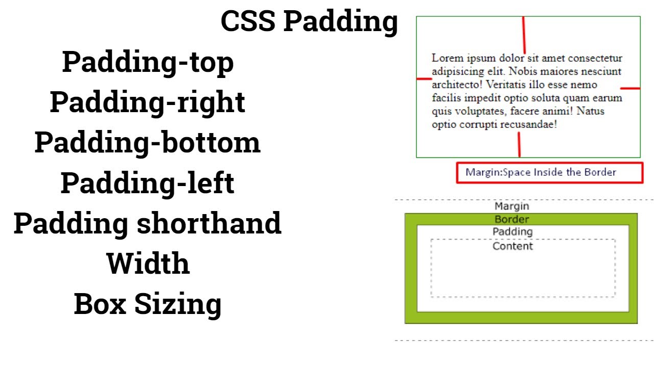 8 css pading | padding in css | padding -top  | padding -bottom  | padding -right | padding-left