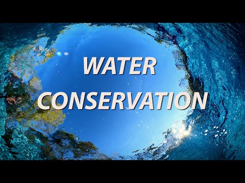 Why Every Drop Counts: Easy Ways to Save Water Today!