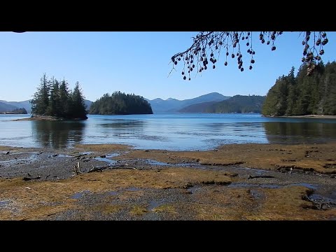 haida gwaii tour 2021