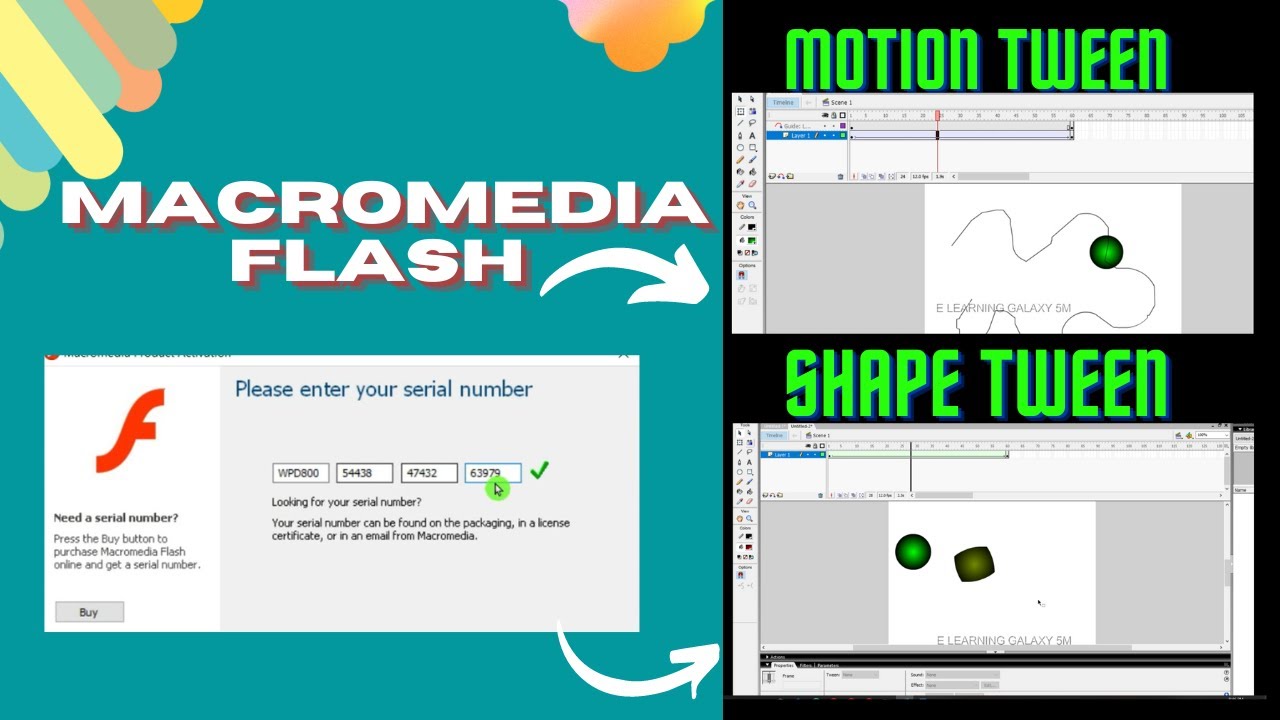 macromedia flash 8 installation || motion tween || Shape tween || flash animation