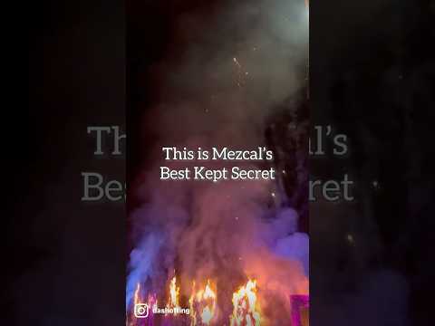 Mezcal’s Best Kept Secret 🤯 #mezcal #oaxaca #travelmexico